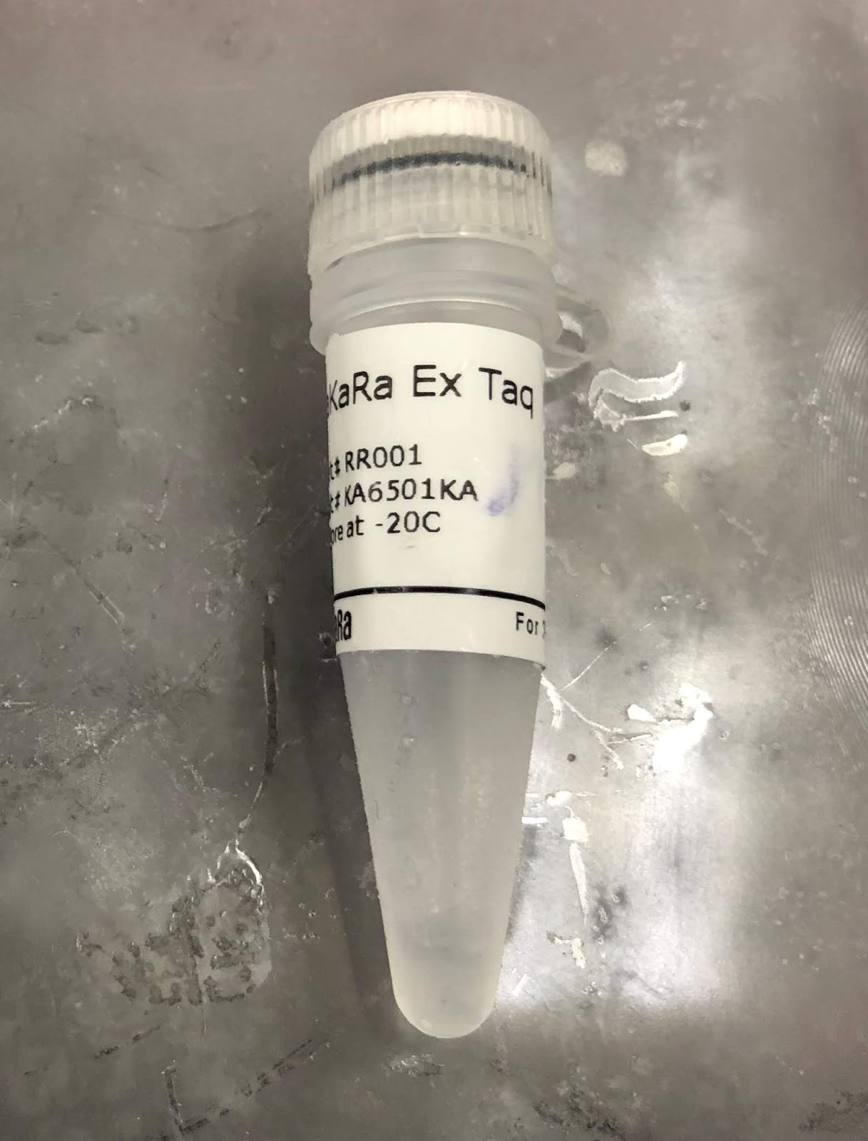 ゲノ研: PCR酵素 Update 2019