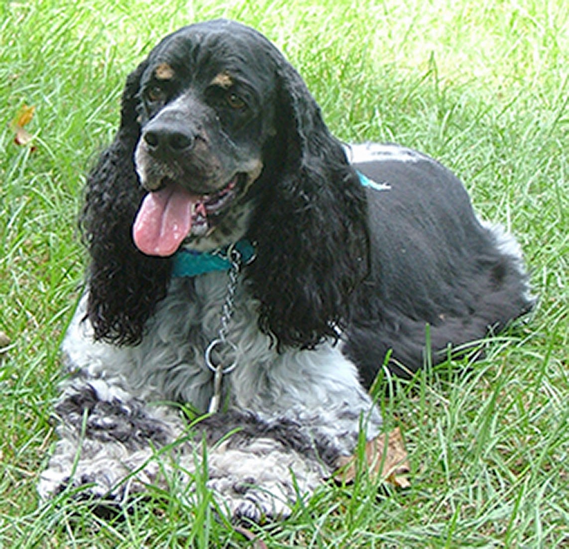 The Midnight Freemasons: New Life