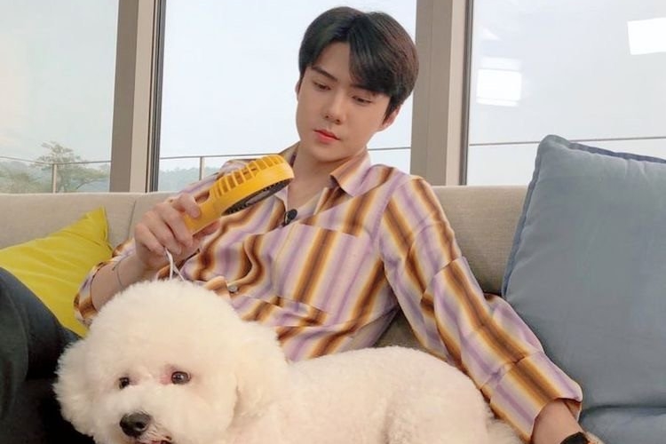 Sehun elegido por los fans como el idol con más química con sus ...