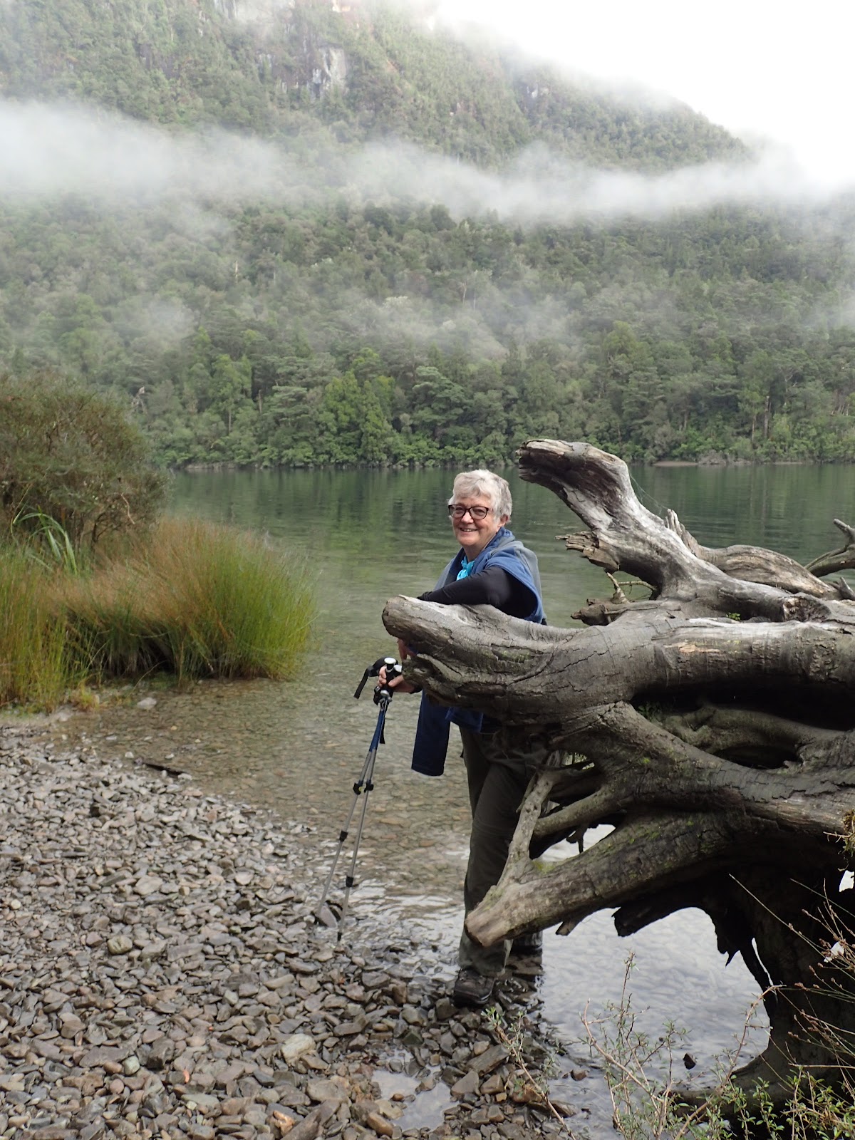 Come, walk with me.: Day 2: Hollyford Track. Pyke River, Lake Alabaster ...