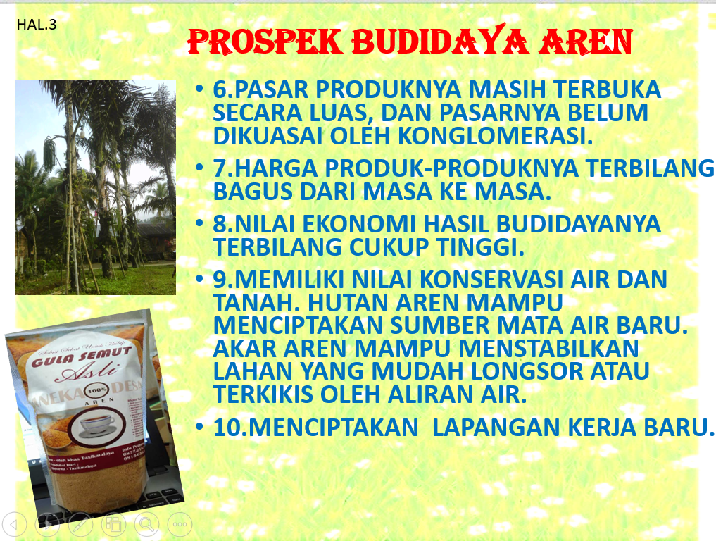 Jasa Konsultan Budidaya Aren : Aren Adalah Tanaman Masa Depan