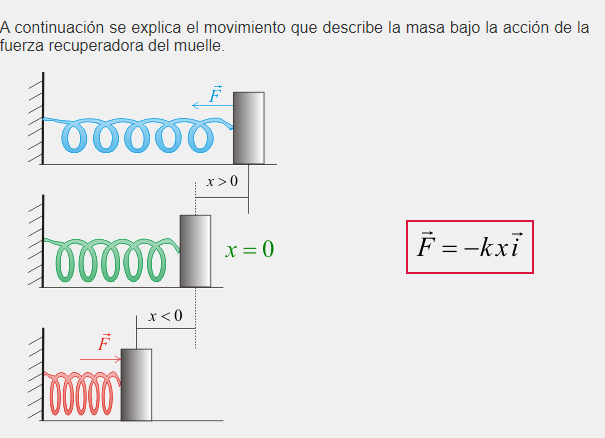 FISICA MATEMÁTICA 2DO BGU: FÍSICA: Elongación, velocidad y aceleración ...