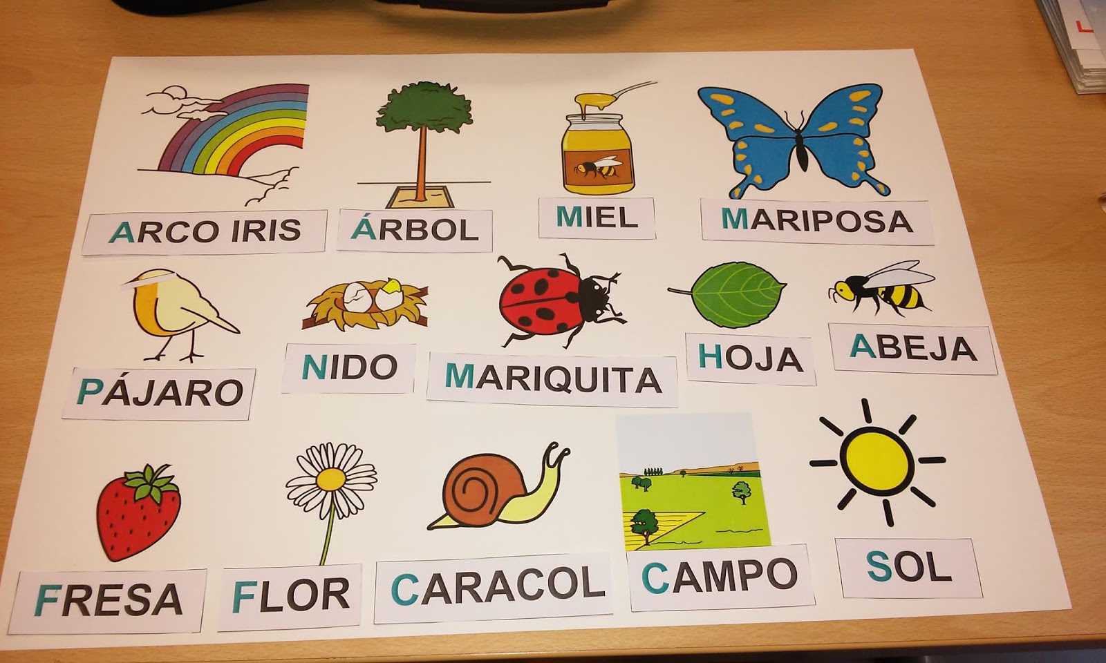 La seño Cati Laura: Vocabulario de primavera + juego de atención (PARTE 2)