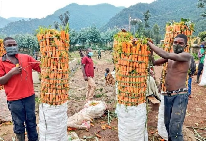 The culture of using sacks, wooden crates, and containers as a measure ...