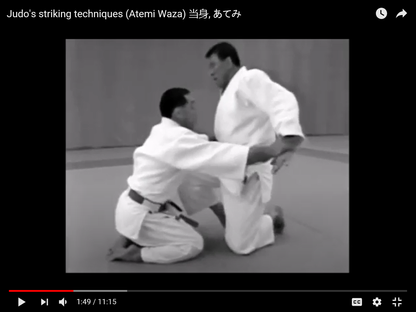 Isshin - Concentration the Art: Judo's striking techniques (Atemi Waza) 当身, あてみ