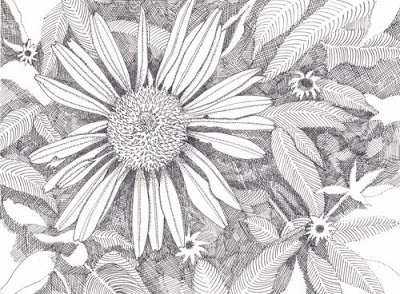 Blue Moon River: The Sketchbook Challenge Blog Hop… and a giveaway!