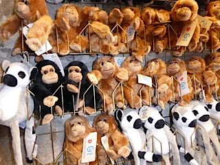 Local History of South Wales & Llanhilleth Miners' Institute: Welsh Ape ...