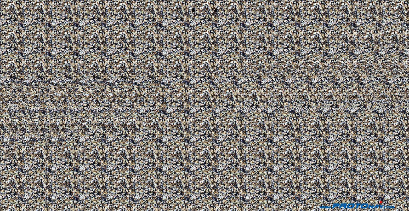 Stereogram