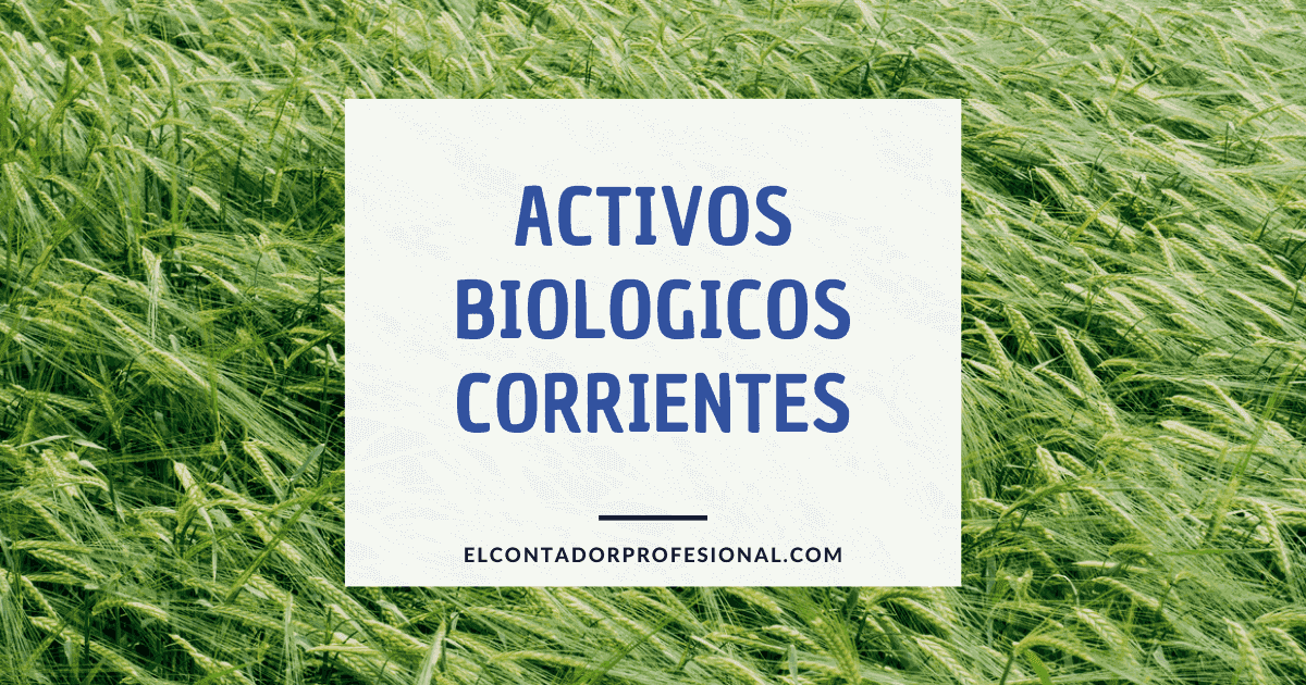Activos Biológicos Corrientes - Contador Profesional