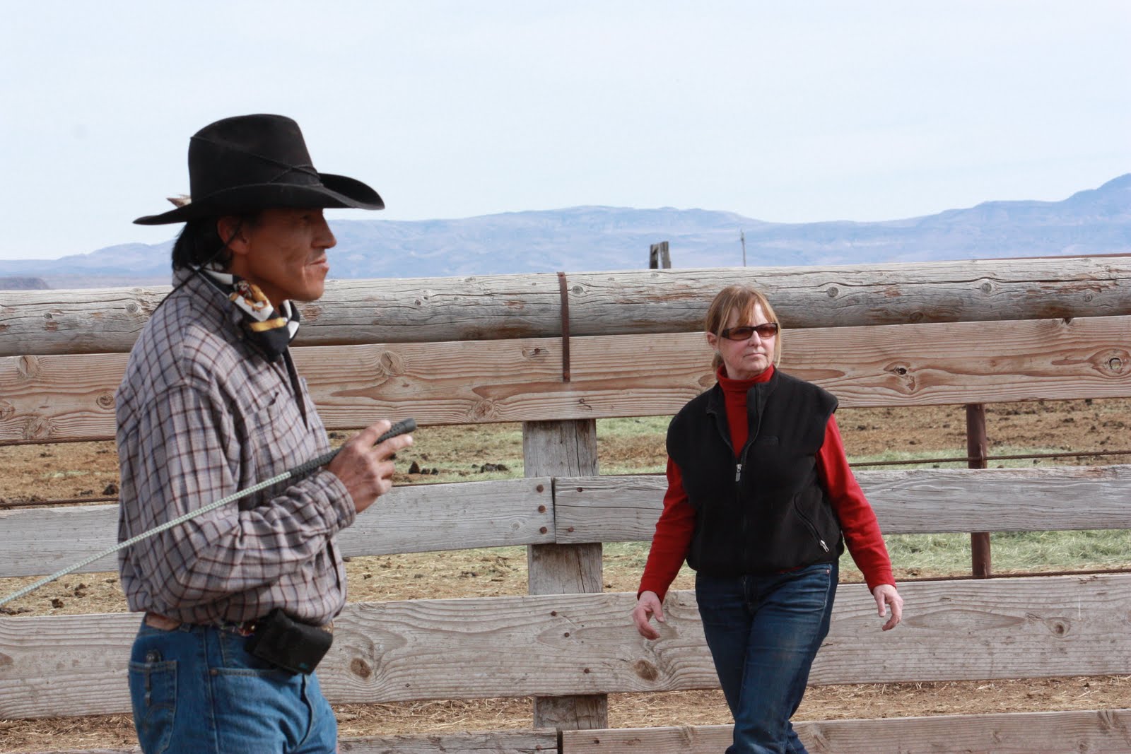 Images of HeART: Lifesavers Wild Horse Rescue, a day with Paiute Foals.