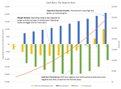 Musings on Markets: The Bonfire of Venture Capital: The Good, Bad and ...