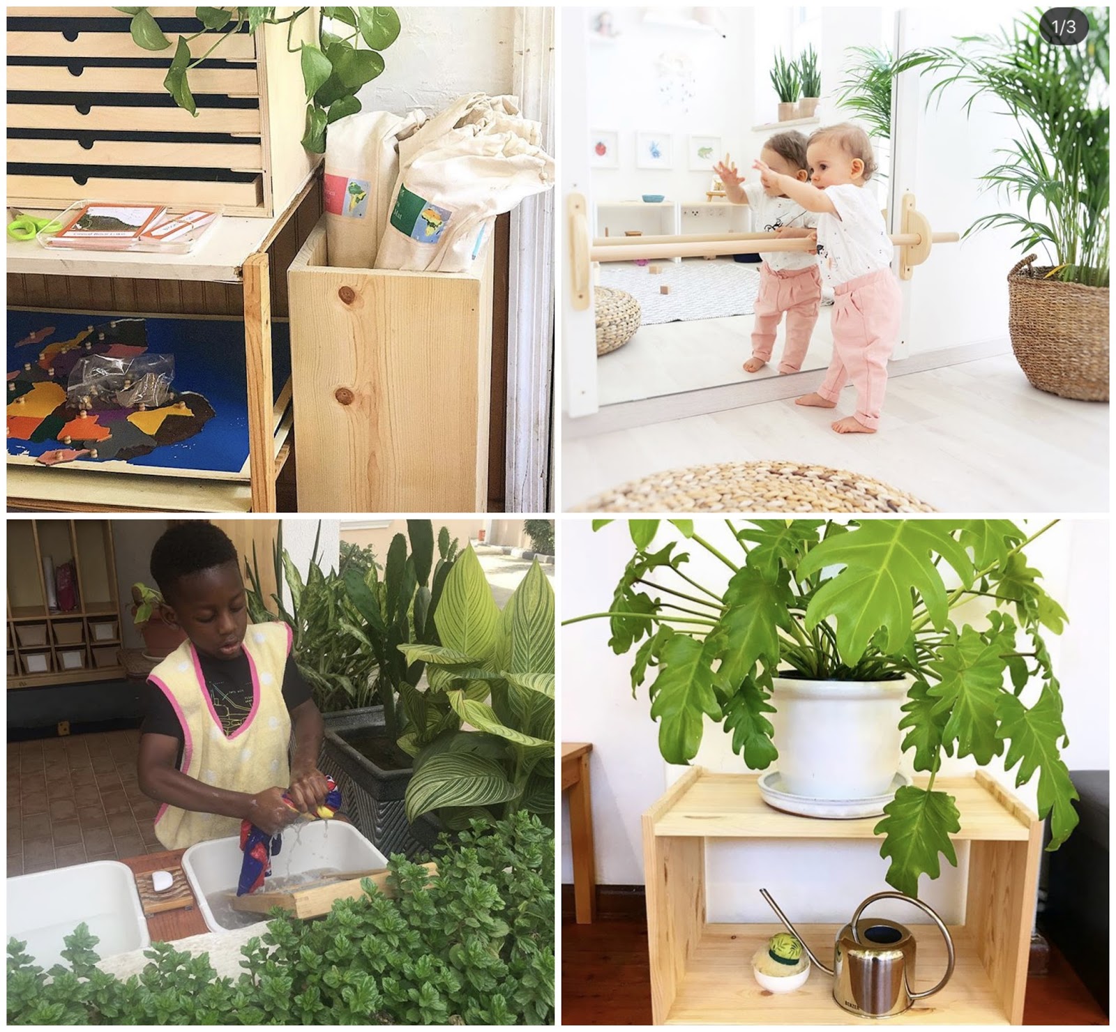 Beautiful Plants in Montessori Spaces