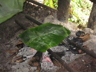 Words from the South Pacific: Faausi
