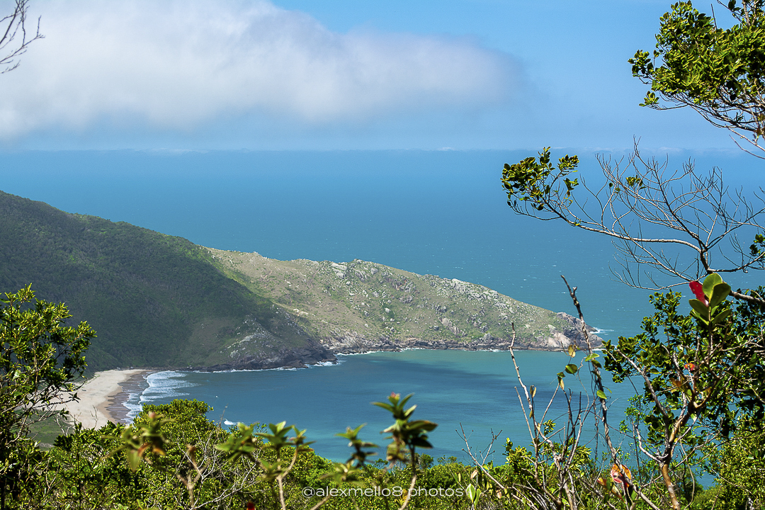 12 razões do porquê a Praia do Campeche é o destino “queridinho da vez ...