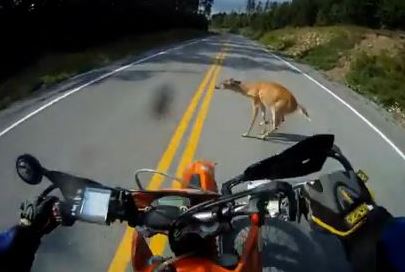 MEC&F Expert Engineers : A Texas man died, another injured after their ...