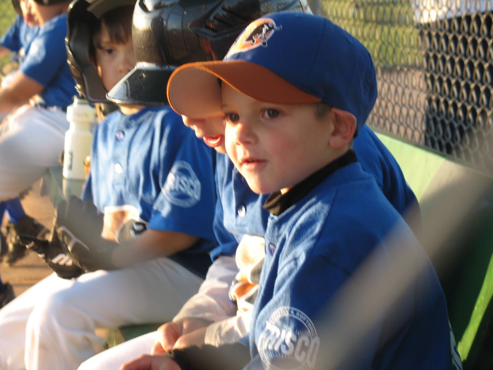 Fat Men Can't Jump: My Personal HCG Journey: What is it about baseball ...