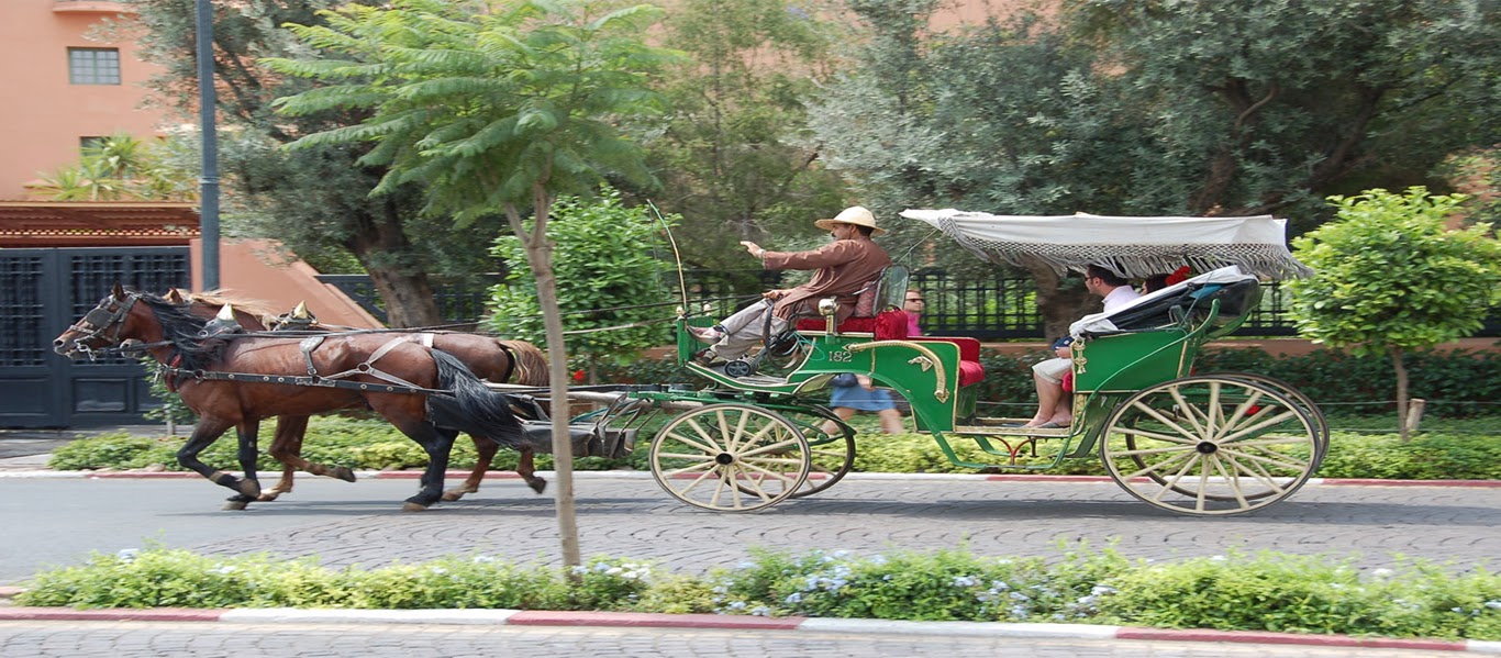 Calèche Marrakech , Balade en calèche à Marrakech