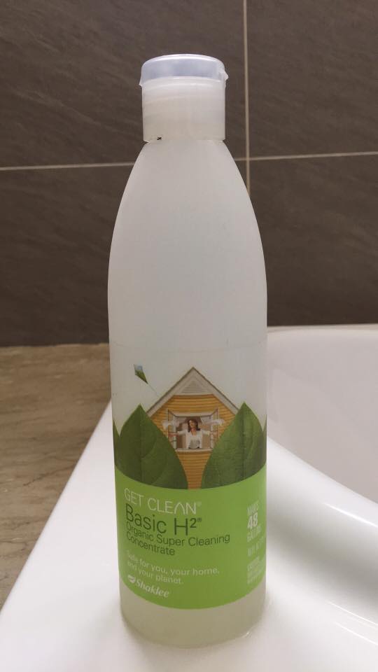 ZAHIDAH ZAKARIA: APAKAH ITU BASIC H?