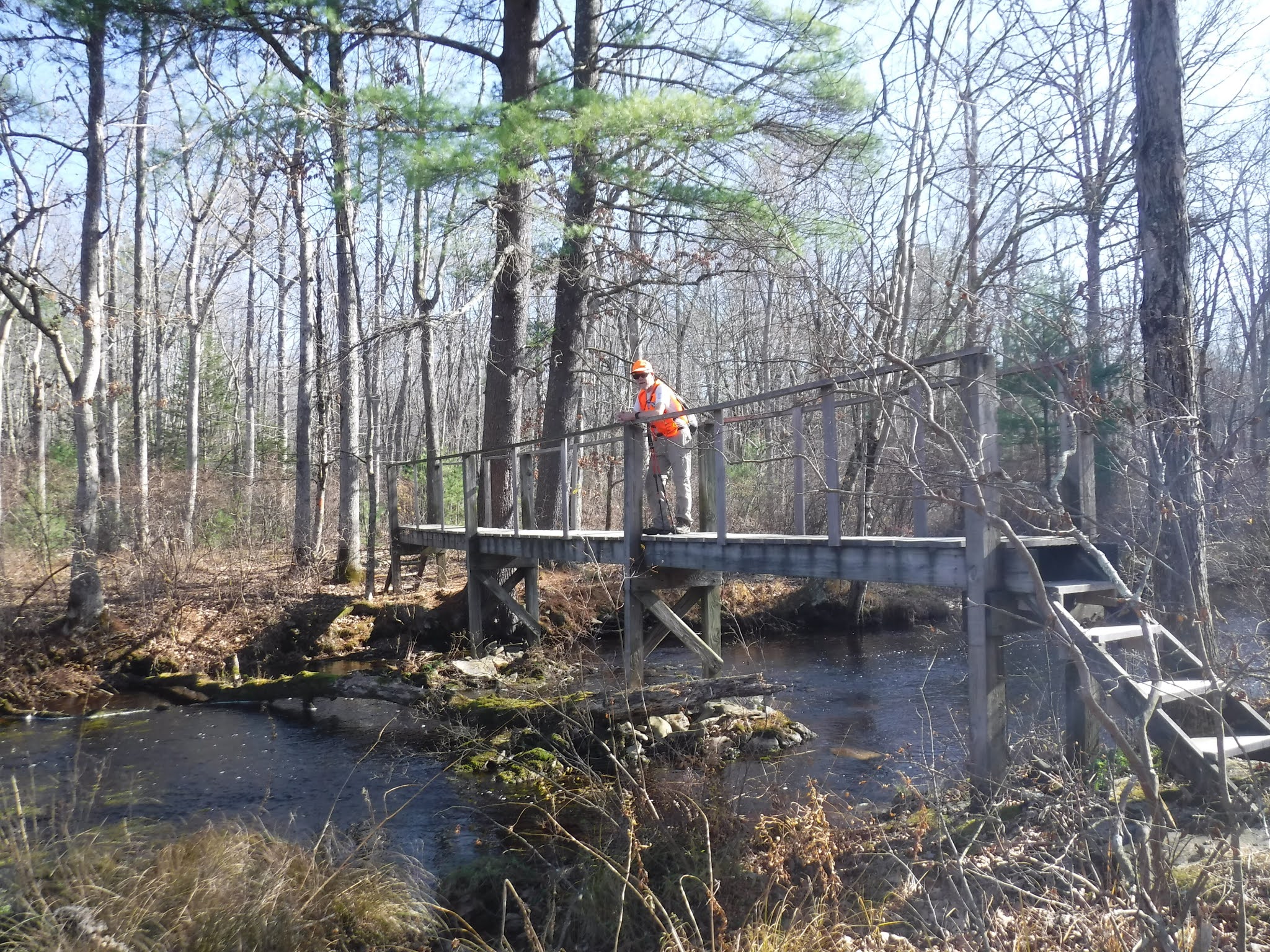Dave'n'Kathy's Vagabond Blog: Thunder Swamp Trail - Painter Swamp to ...