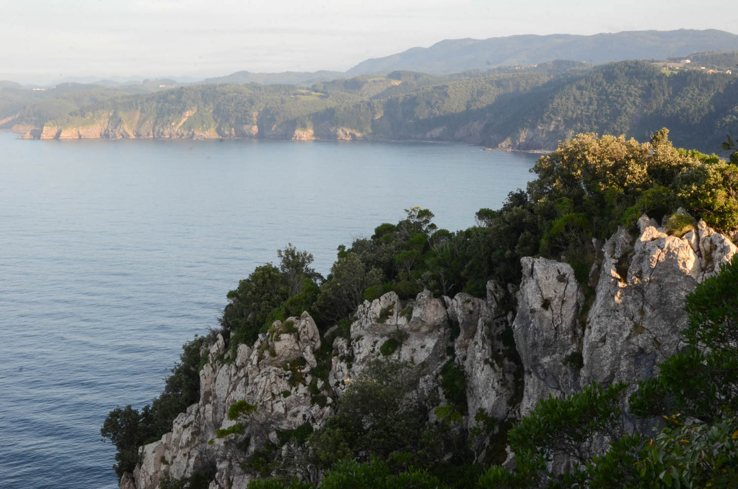 ALMANAQUE NATURAL: Los Encinares más norteños