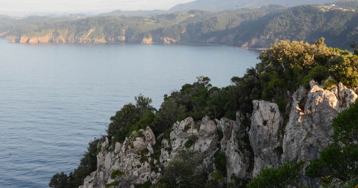ALMANAQUE NATURAL: Los Encinares más norteños