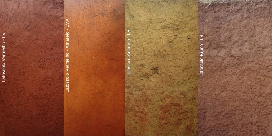 PEDOLOGIA Solos - Geografia