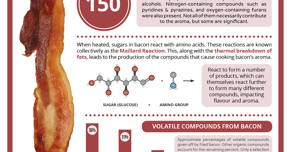 Por que o bacon cheira tão bem? O Aroma do Bacon. - Estilo de Vida ...