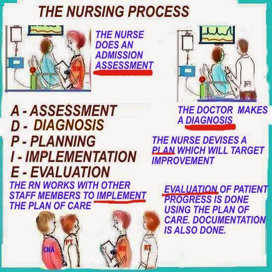 Dear Nurses: WHAT IS ADPIE?