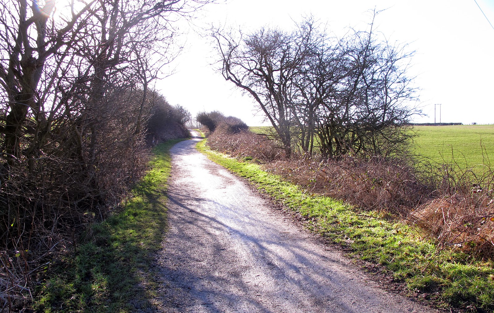 Two Wheels and a Camera: The Five Pits Trail