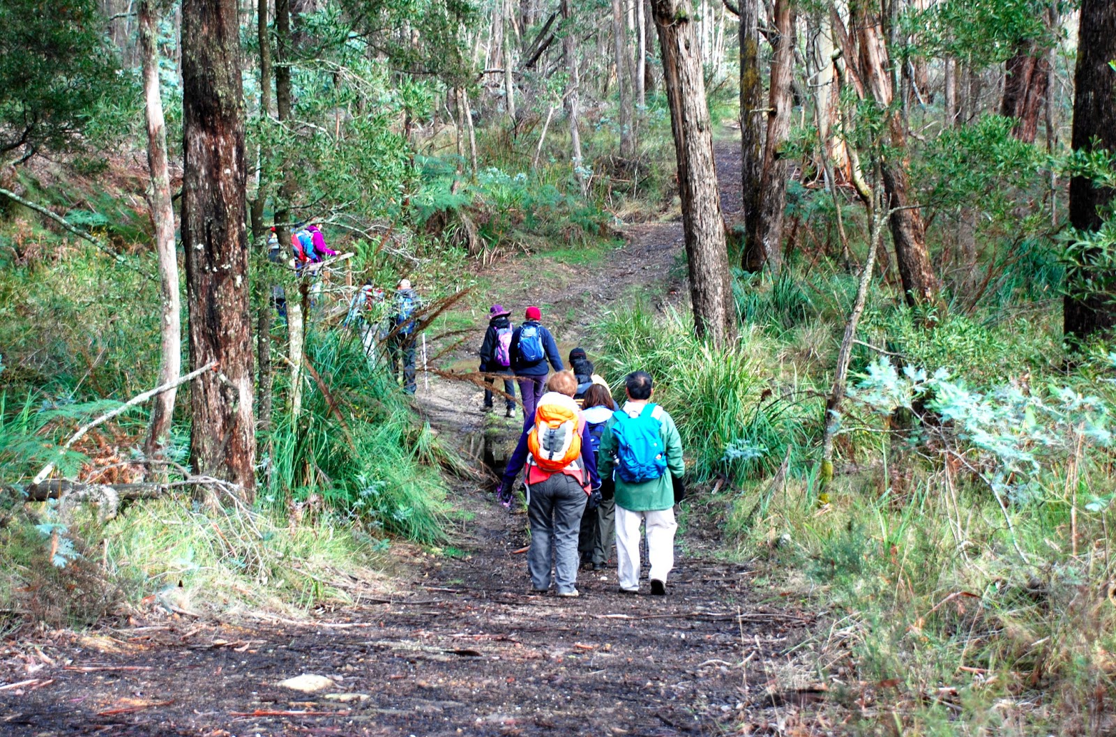walkabouters club of victoria inc: The Domino Trail - Trentham
