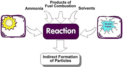 Materi Partikulat / Particulate Matter (PM)
