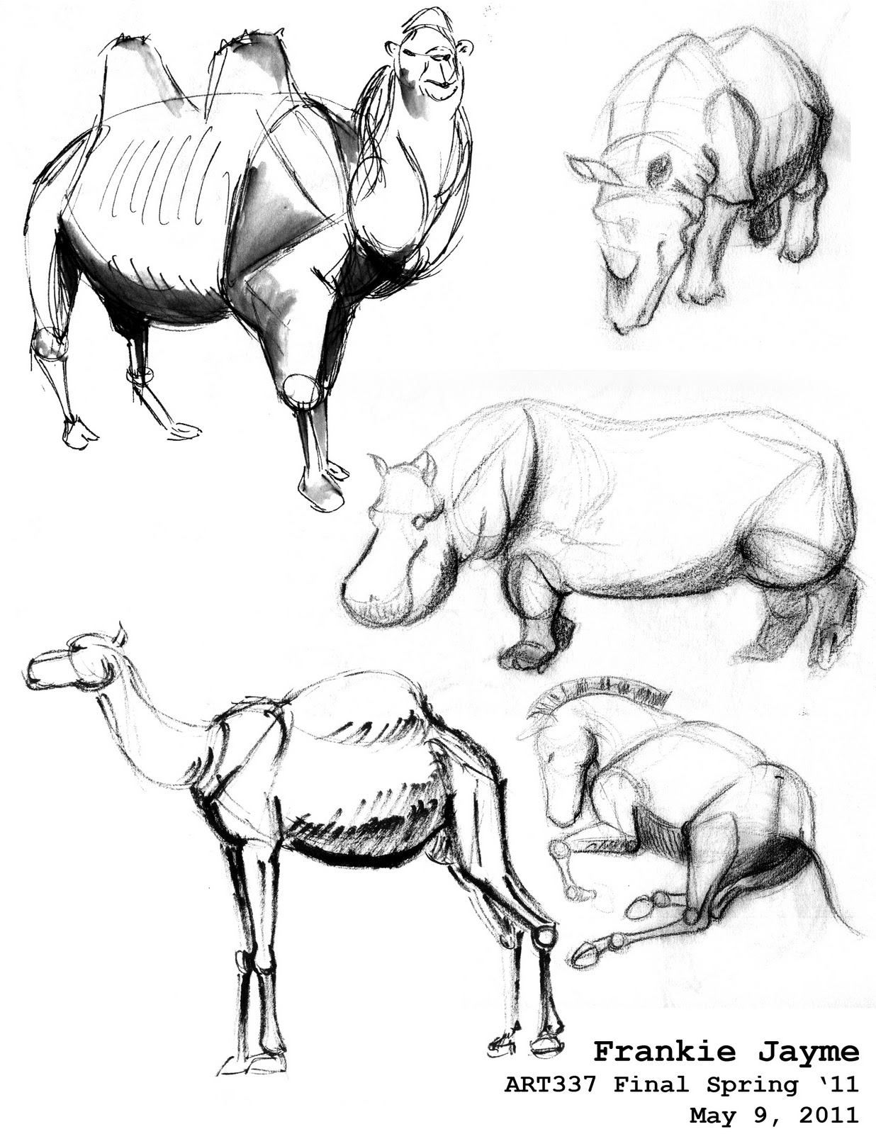 Frankie Jayme: ART 337 - Animal & Wildlife Drawings