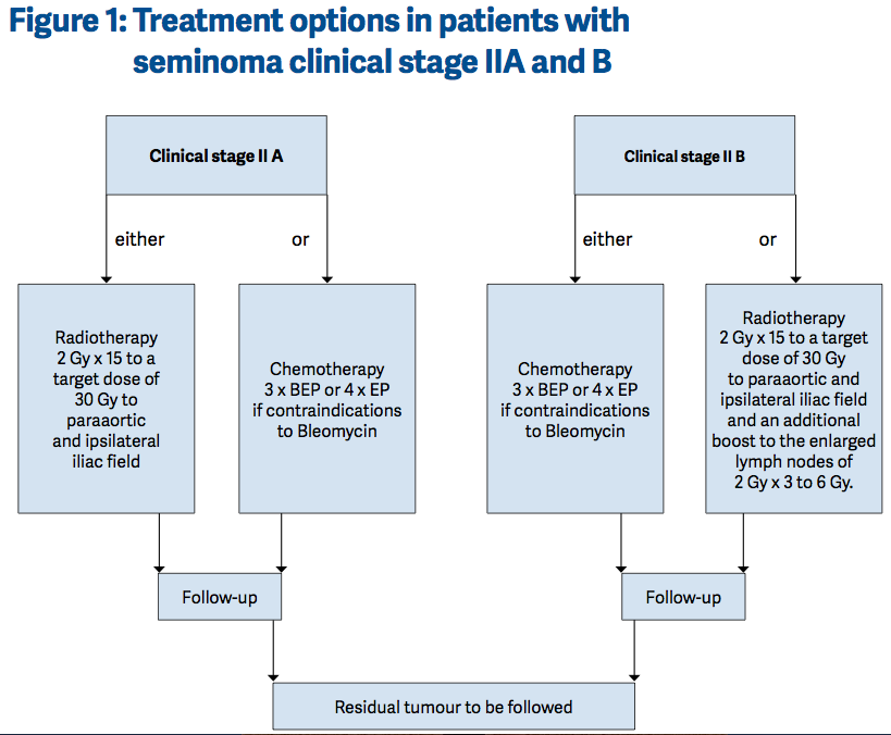 Testicular cancer : Diagnostic evaluation