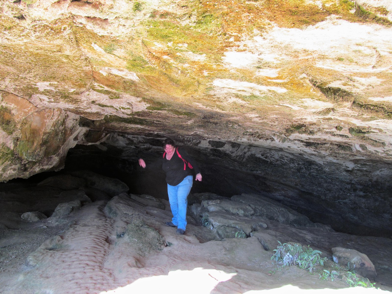 Tramping in the New Zealand backcountry: NZ Bush Adventures: Visiting ...