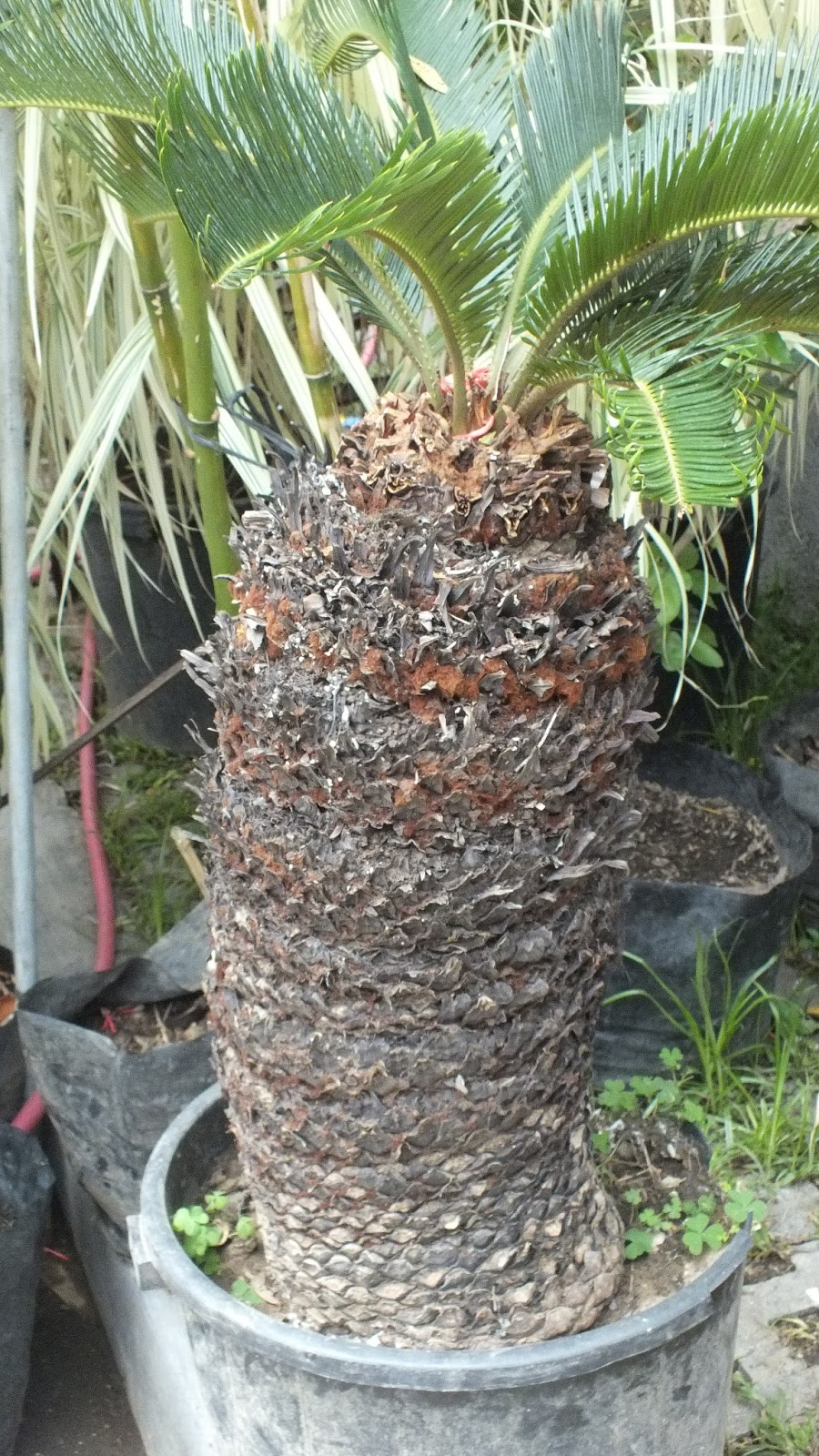 Photography with Dr. Ernie.: March 2013