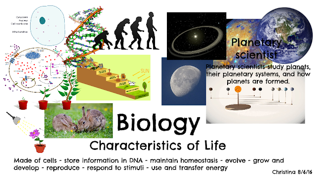 Christina's Bio Blog: September 2016