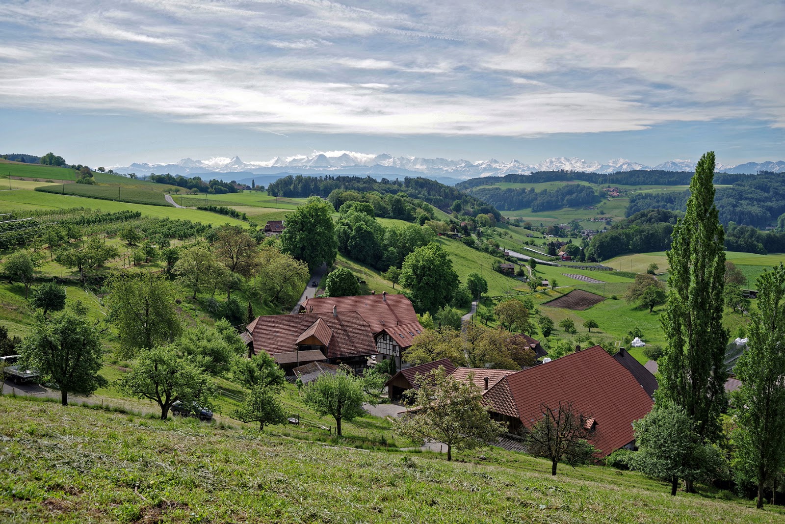 Wanderbare Geschichten: Elefanten Safari am Bantiger