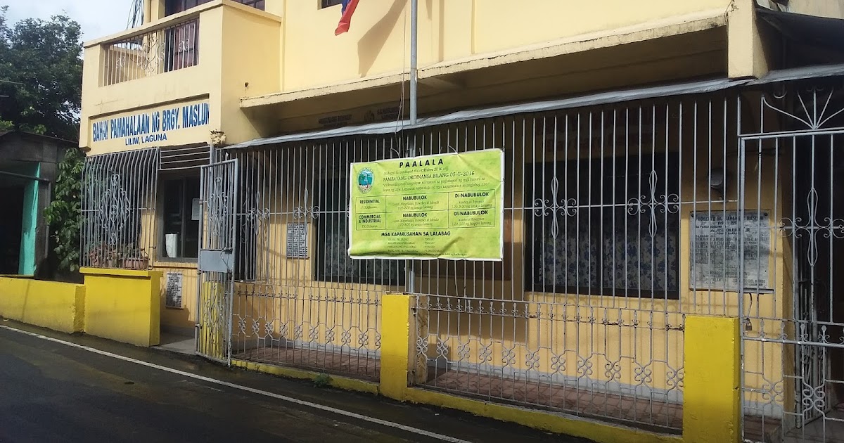 Empowering Students (A DRRM Blog): Barangay Hall Visit/inter