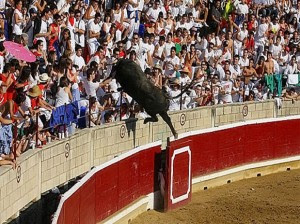 Lascosasdeltoro: Plaza de Toros de Tafalla 2013, protagonista el TORO
