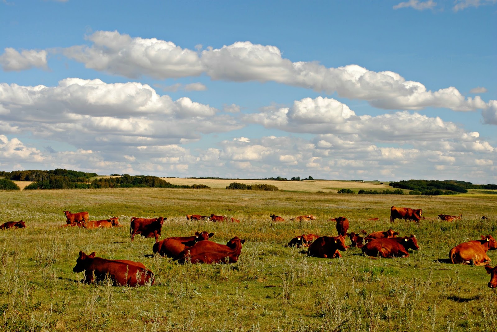 Little Prairie Baby: Head Outside