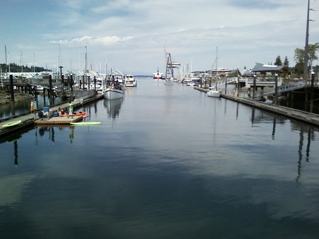 Buddies in the Saddle: Back in the saddle