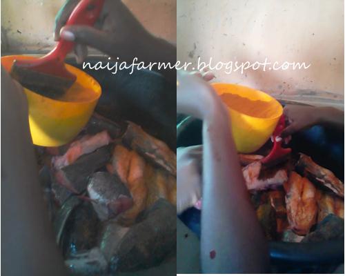 Catfish Processing Business- Smoke drying and packaging of Catfish ...