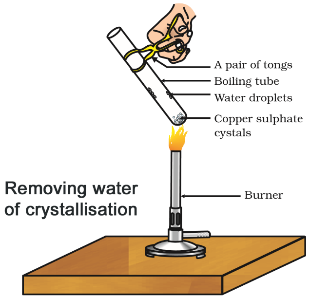 Chapter 2: Acids, Bases and Salts | CBSE Class 10 | NCERT Notes ...