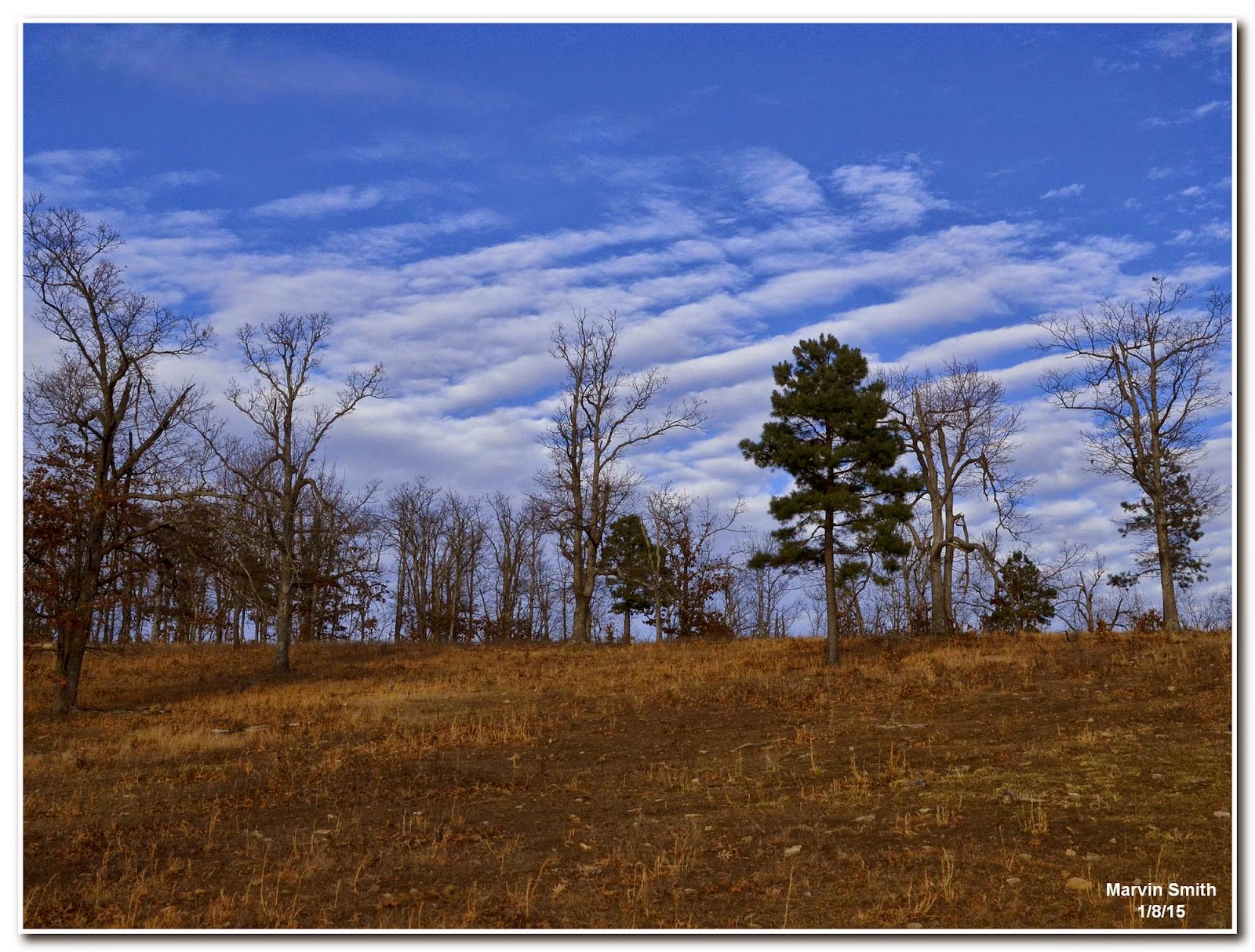 nature-in-the-ozarks-a-couple-of-weeks-in-january