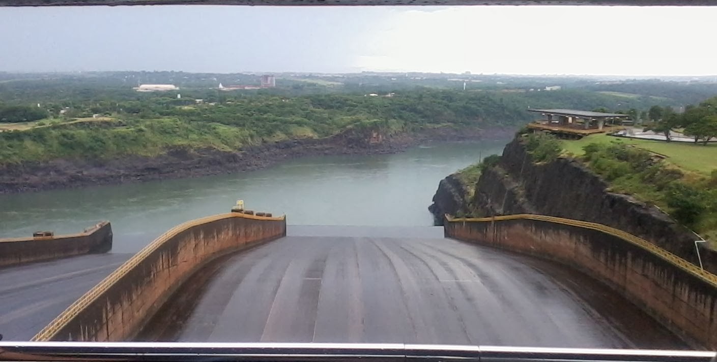 The Paddock: The dam, the birds