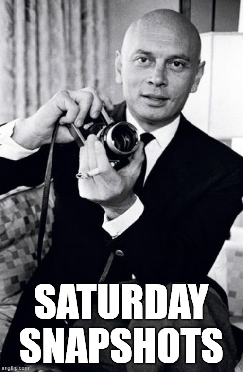 My Top Ten: Saturday Snapshots #140