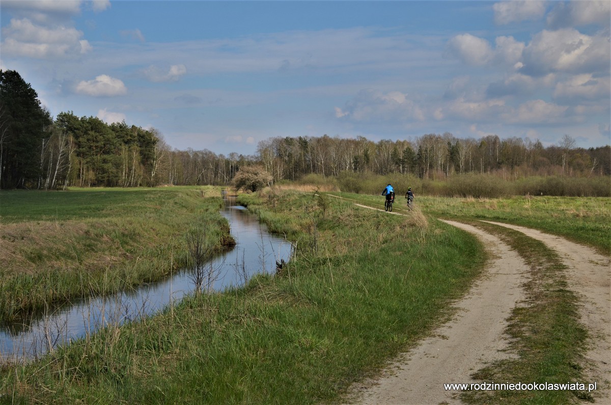 Polesie i Poleski Park Narodowy- co warto zobaczyć? | RODZINNIE DOOKOŁA ...