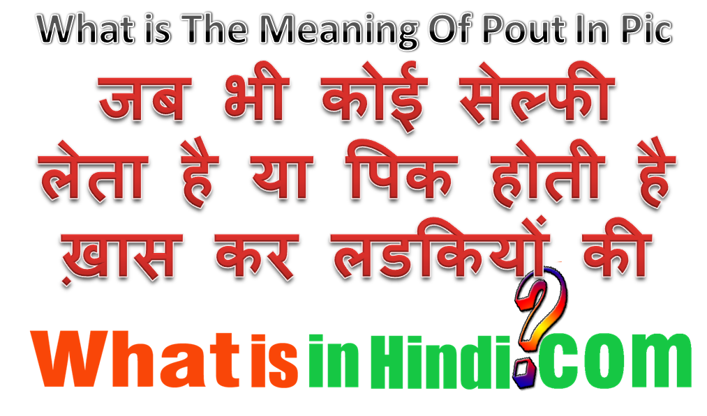 pout का मतलब क्या होता है | What is the meaning of Pout in Hindi
