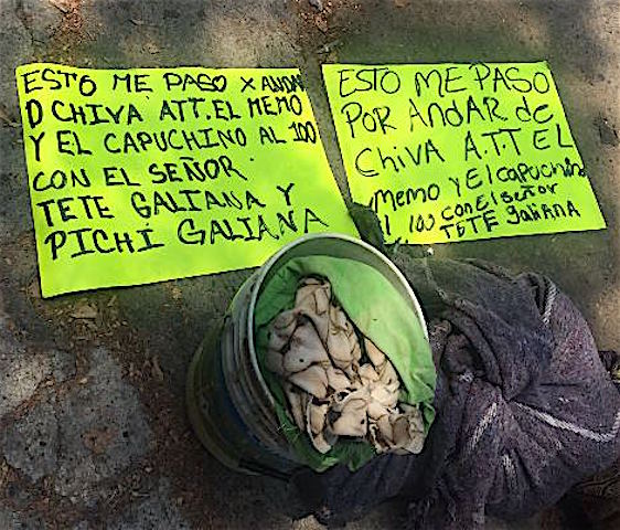 Así trabaja el narco más activo "Teté" Galeana el brazo Izquierdo de ...