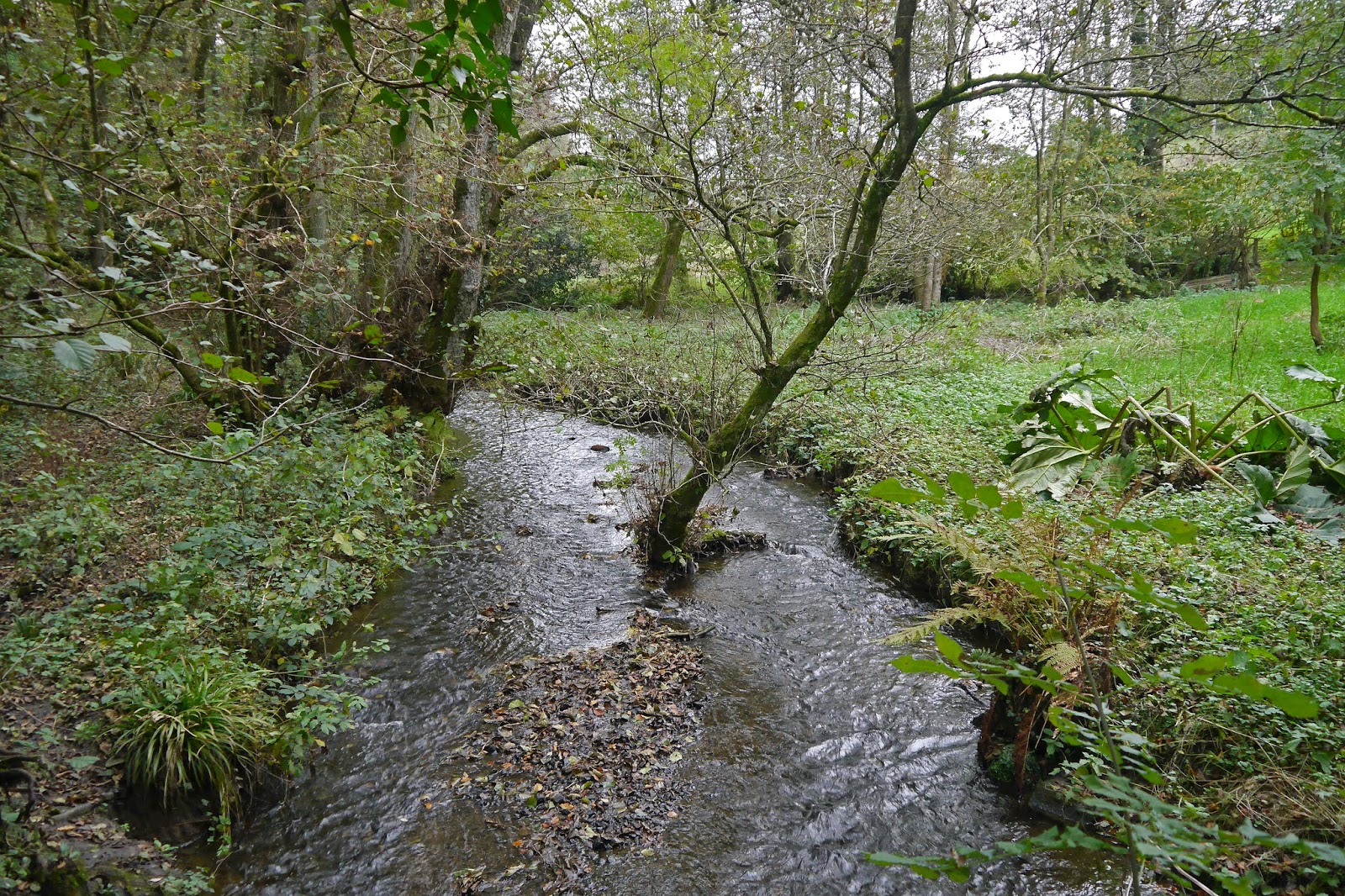Walking in the country: Silton to Stourton and Stourhead (Stour Valley ...